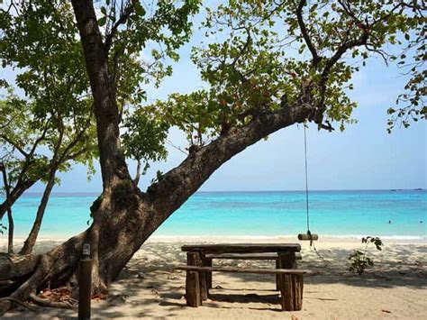 Ko Lanta Koh Rok Koh Haa Snorkelling Tour By Speedboat GetYourGuide