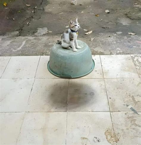 Funny Optical Illusions Part 3 Fun