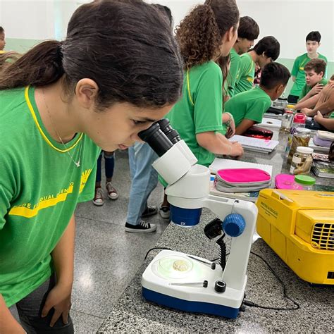 Aula Prática Laboratorial é Realizada Na Ee Castro Alves Em Dourados Sed