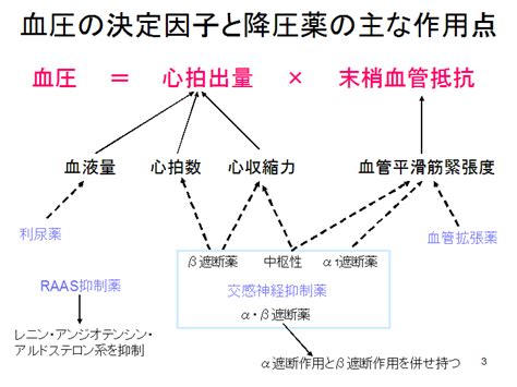 血圧の決定因子＝心拍出量×末梢血管抵抗 看護師への道