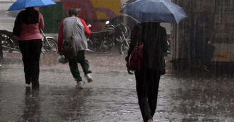 Mucha Atención Alerta Meteorológica Por Fuertes Tormentas ¿cuáles Son