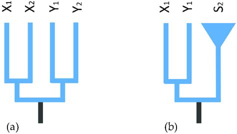 Gene Genealogies Under Different Evolutionary Scenarios A The Marker