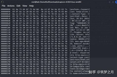 Ca Https