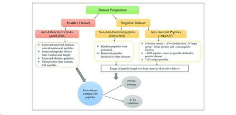 The Construction Of Positive And Negative Dataset To Develop Machine Download Scientific