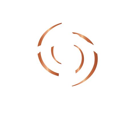 Ayus Wellness Pemf Therapy Mats Ionic Copper Body Brushes