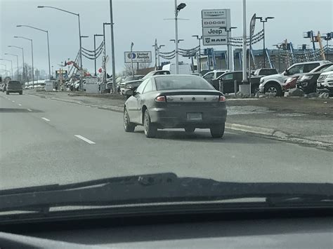 Found Dickbut In The Wild Imgur