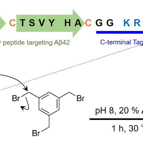 Ft Ir Spectra Of A Tio 2 Amorphous B Tio 2 Anatase C Tio 2 Download Scientific