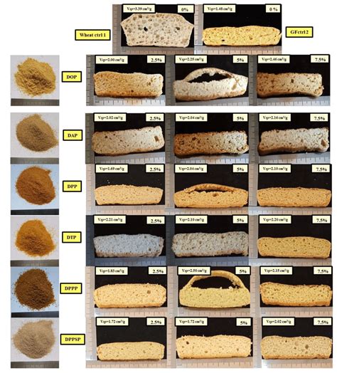 Crumb Appearance Of Wheat Bread And Gluten Free Bread With And Without Download Scientific