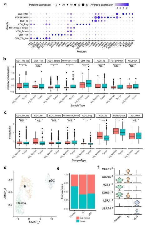 Fig S2 Cell Subgroups Of T Nk Cells And B Plasma Cells A Dot Plot Download Scientific