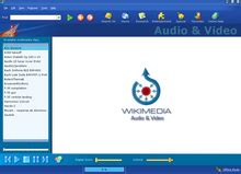 Introduction To Computer Information Systems Application Software