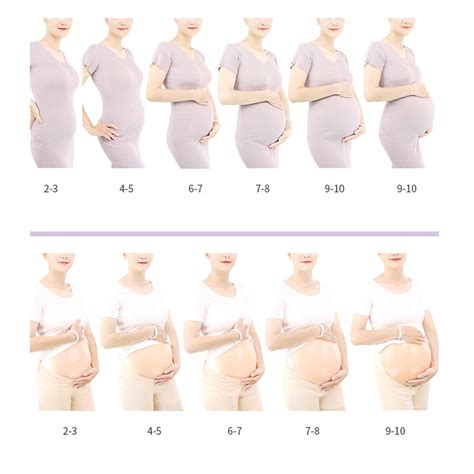 Pregnant Belly 5 Months