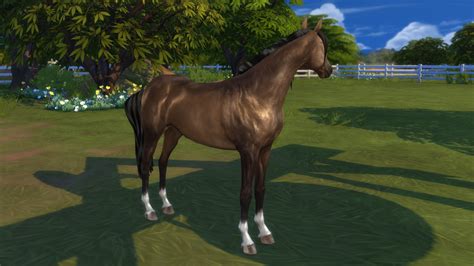 PW Arabian Coat Preset V2 The Sims 4 Pets CurseForge