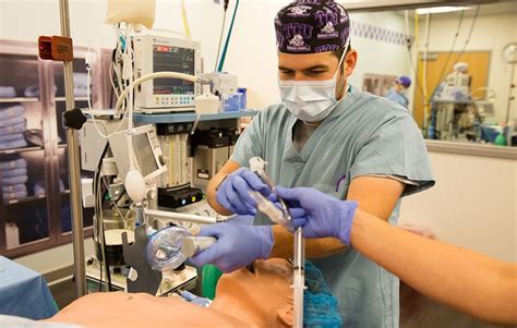 Dnp Nurse Anesthesia Personal Statement Ballet Dancer Cardiothoracic