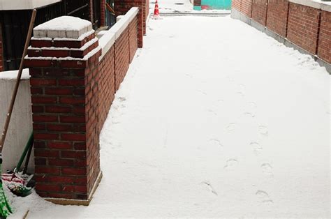 Snow Footprint Road Line Of Free Photo On Pixabay Pixabay