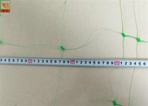 Pp Agricultural Netting For Plant Support White Color Bop Plastic Mesh Netting