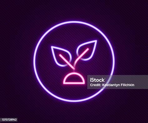 검은 색 배경에 격리 된 빛나는 네온 라인 식물 기반 아이콘 다채로운 개요 개념 벡터 0명에 대한 스톡 벡터 아트 및 기타
