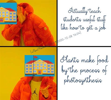Plants Make Food By The Process Of Photosynthesis Scrolller