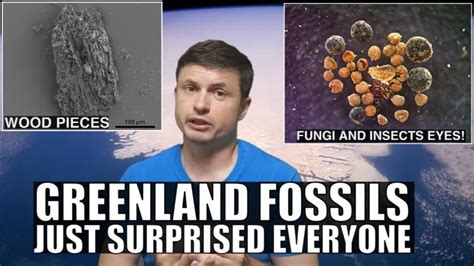 Roger M Pearlman Yec On Linkedin Fossils From Underneath Greenland