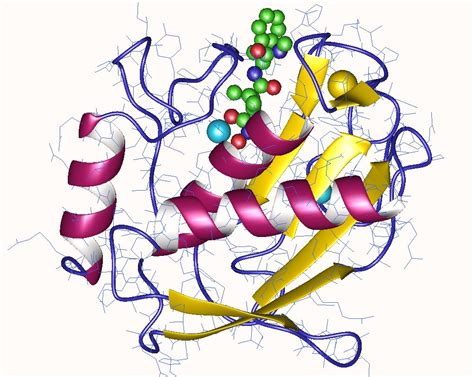 Matrix Metalloproteinase Interstitial Collagenase