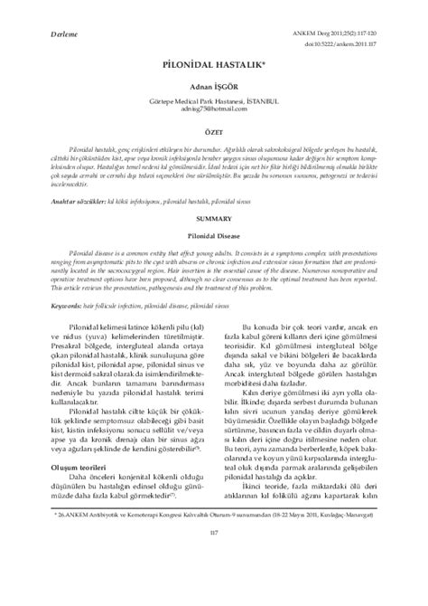 Pdf Pilonidal Disease