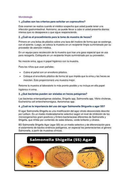 Cuestionario Microbiología Yamila Chme uDocz