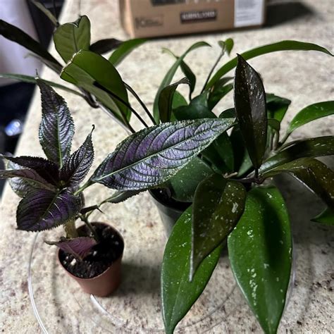 Handmade Princess Inspired Macrame Cover Dress Adjustable From Size 0