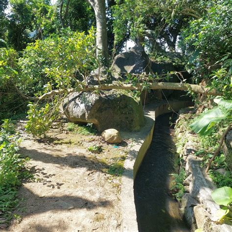狗殷勤古道 步道狀況回報 2023 09 10 08 47 健行筆記