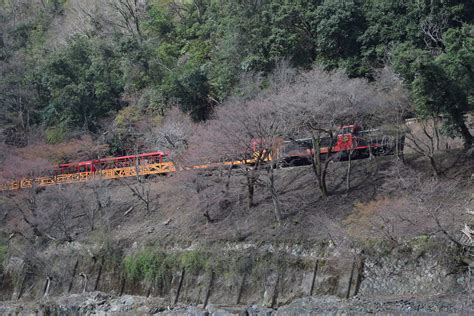 京都一周トレイル第6日。余録。嵯峨野観光列車。阪急・雅洛 カイラス書房 別冊 楽天ブログ