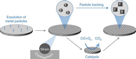 Schematic Of The Particle Tracking Experiments Initially Metal
