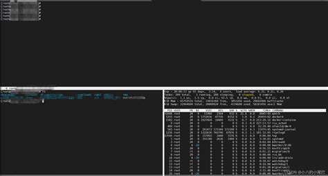远程神器 Screen命令的保姆级详解教程举例 Csdn博客