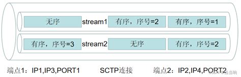 基本sctp套接字编程及实例讲解sctp编程 Csdn博客