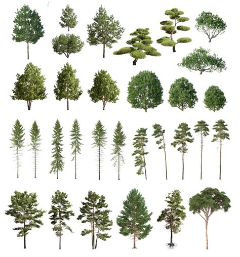 blender trees 1 4 deciduous trees coniferous trees bushes free