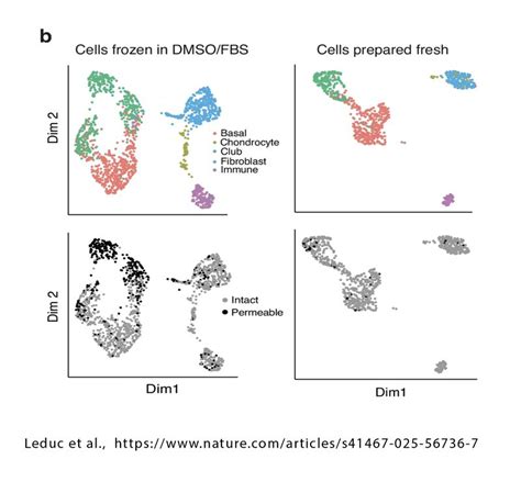 Single Cell Proteomics Is Gaining Momentum We Can Analyze The