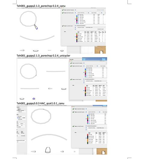 Interesting Structure With Canu And Nanopolish · Issue 1423 · Marbl