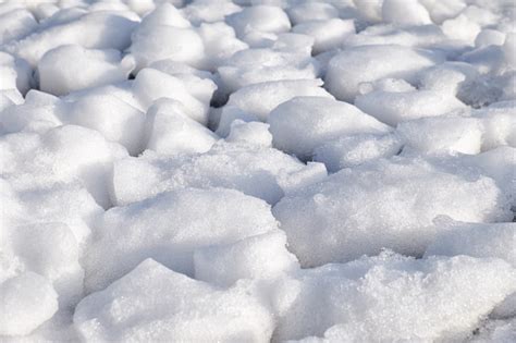 Lumps Of Snow And Ice Frazil On The Surface Of The Freezing River Water