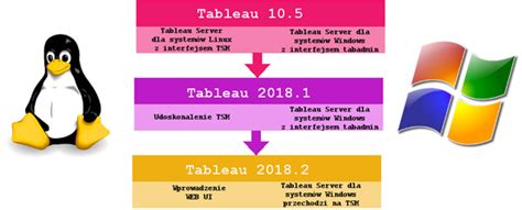 tableau services manager tsm co to takiego newdatalabs