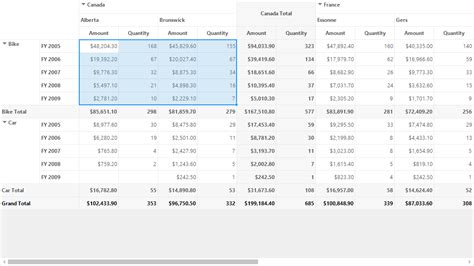 Cell Selection In Windows Forms Pivot Grid Control Syncfusion