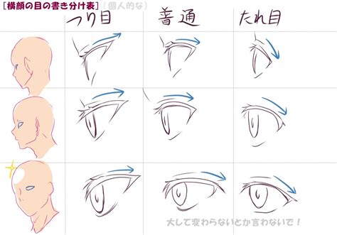 【講座】 目と表情 【azpainter2】 6 描画チュートリアル 解剖学的な描き方 顔のスケッチ