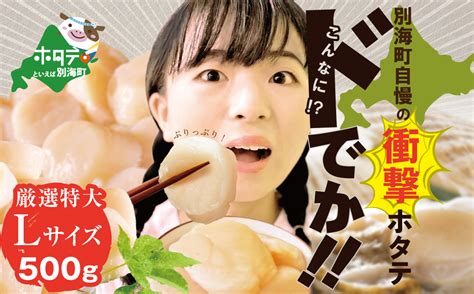 【旅サラダで紹介！】【ホタテ禁輸措置生産地支援品】lサイズのみ厳選！北海道 野付産ホタテ 500g【be018 0229】（ほたて ホタテ