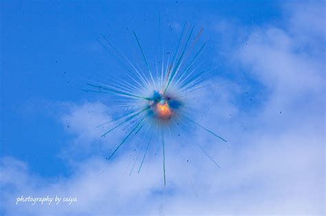 片貝まつり花火大会 2023 昼の三尺 その1 by saiya ID11987005 写真共有サイト PHOTOHITO