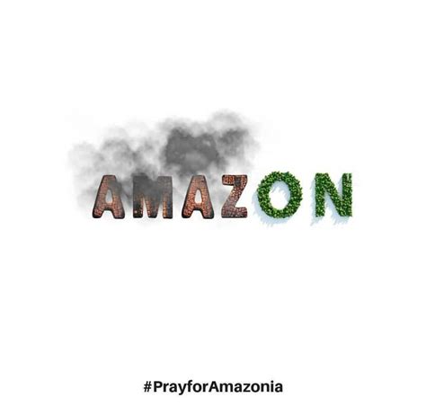 Hajar Hashem Lhamidi On Linkedin Prayforamazonia