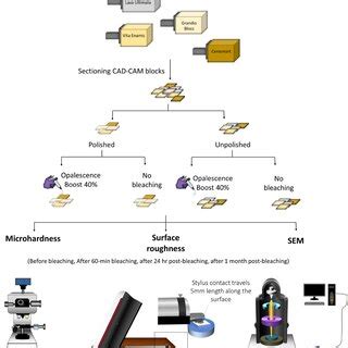A Diagram Of Overall Experimental And Characterization Procedure