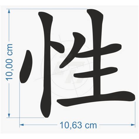 Sex Chinesisches Schriftzeichen Autoaufkleber