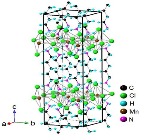 Structural Characterization And Dynamics Of A Layered 2d Perovskite