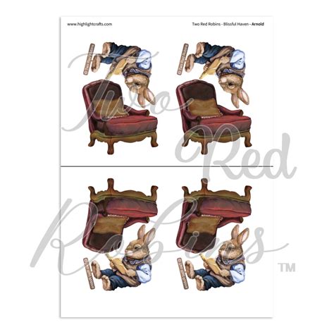 Two Red Robins Arnold Reversed Reflections Printed Sheet 2 Highlight
