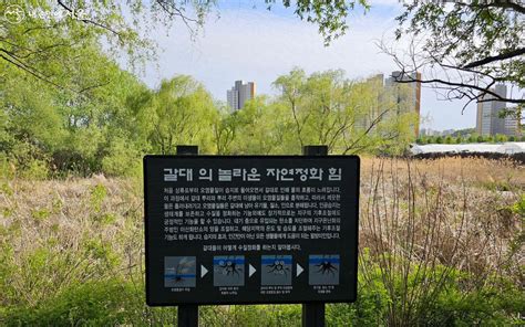 서울시 내 손안에 서울