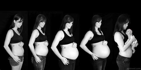 Pregnancy Time Lapse