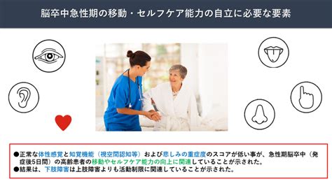 stroke lab論文6月12日 STROKE LAB 東京 大阪 自費リハビリ 脳卒中 神経系