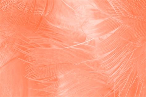 아름 다운 무성한 용암 오렌지 화이트 색상 트렌드 깃털 질감 배경 트렌드 색상 금 금속에 대한 스톡 사진 및 기타 이미지 금 금속 깃털 배경 주제 Istock