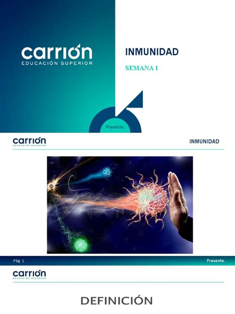 Semana 1 Pdf